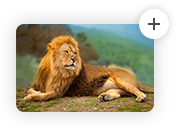 Castify.ai - Build OTT apps | Distribute OTT & CTV apps | Monetize OTT ...